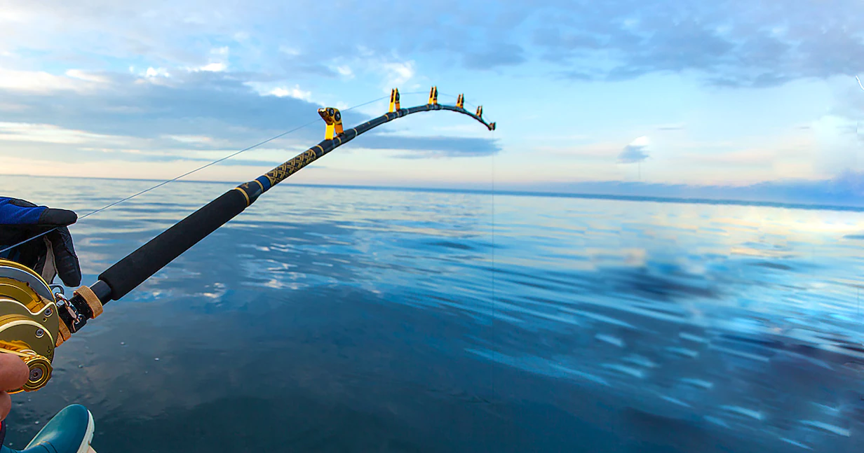 How to Bottom Fish Offshore - World City Sport